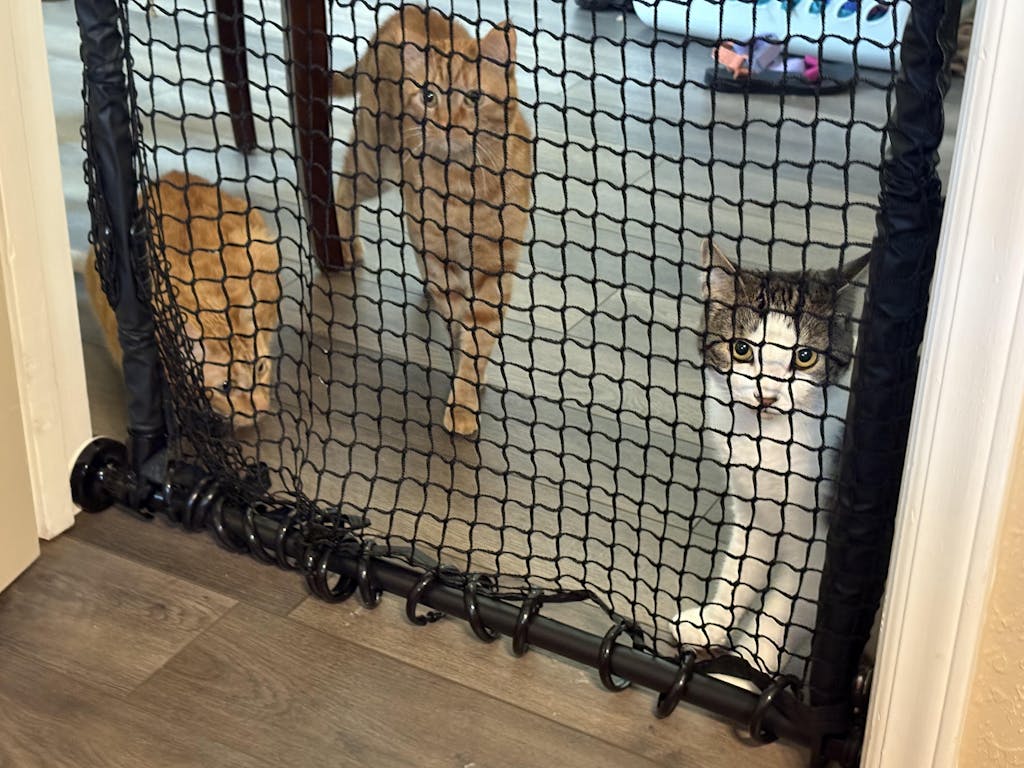 Cat gate extra tall 72", Extra Tall Pet Gate, Cat Screen Door, Cat ...