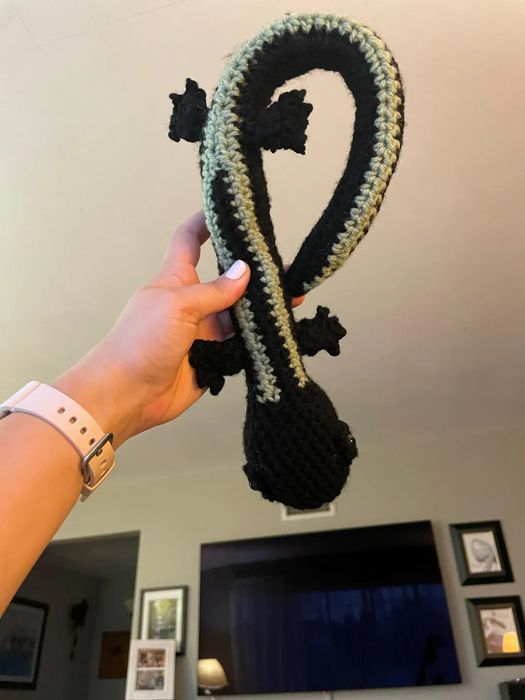 Salamander Crochet Pattern PDF - Long Tail Amigurumi Amphibian Tutorial ...