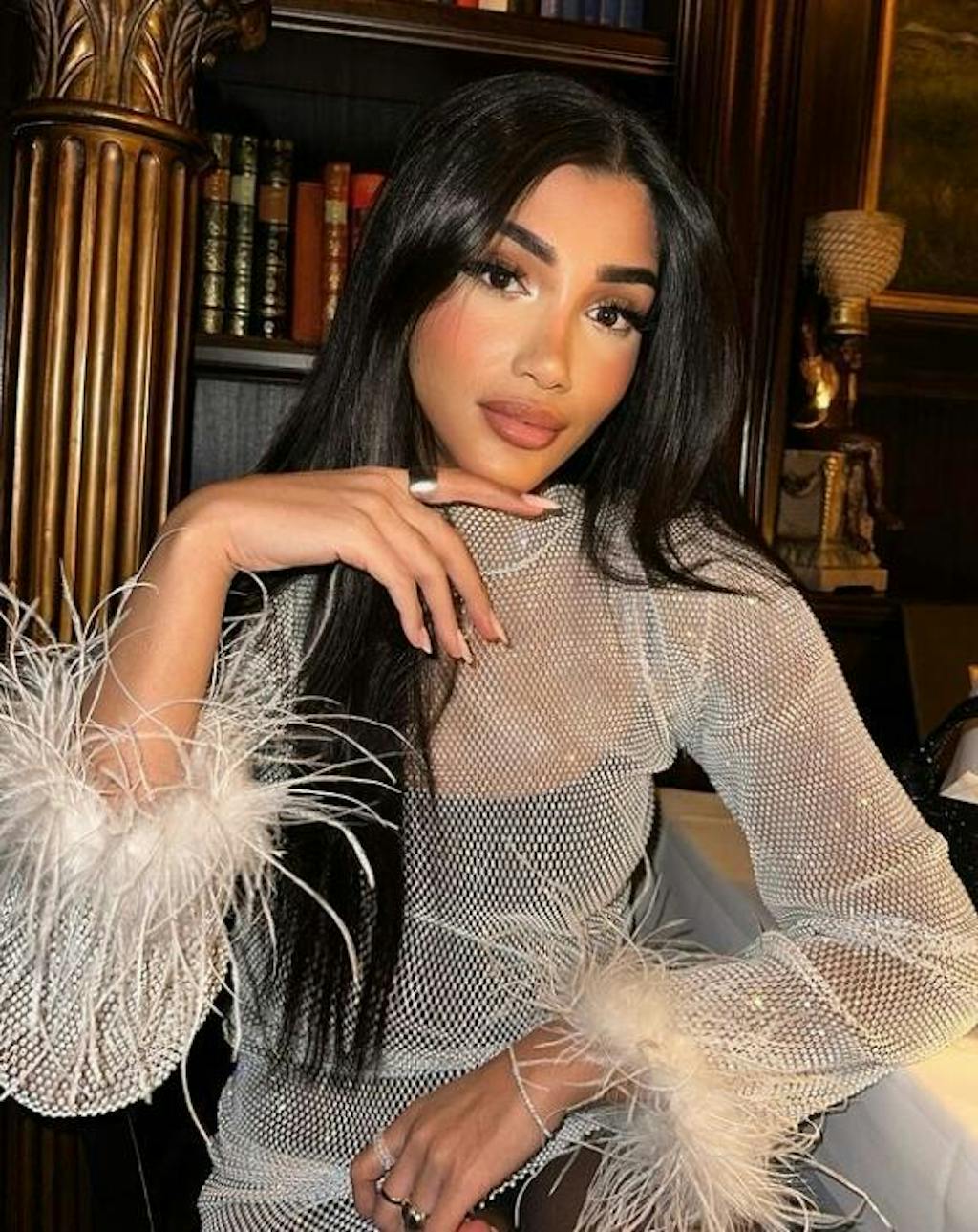 Xanthe Rhinestone Mesh Mini Dress In White – Mew Mews