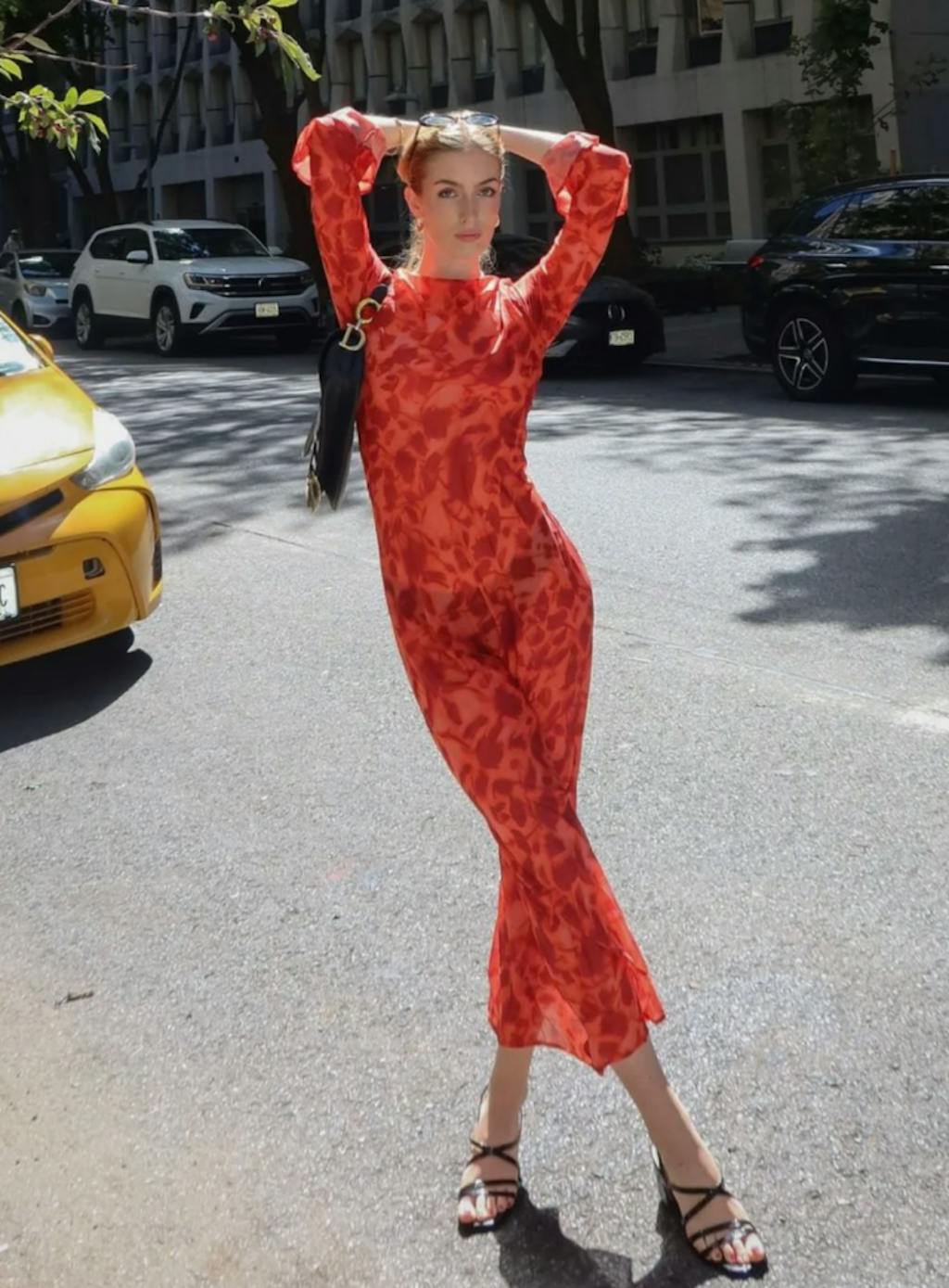 Cecily Long Sleeve Rose Printed Maxi Dress – Mew Mews