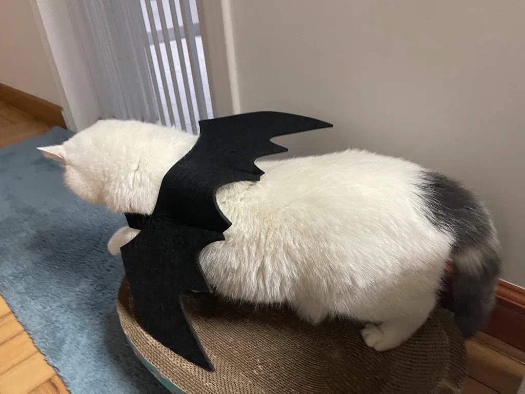 Cat Bat Wing Cosplay Halloween 3 Color Costume Props – MEWCATS