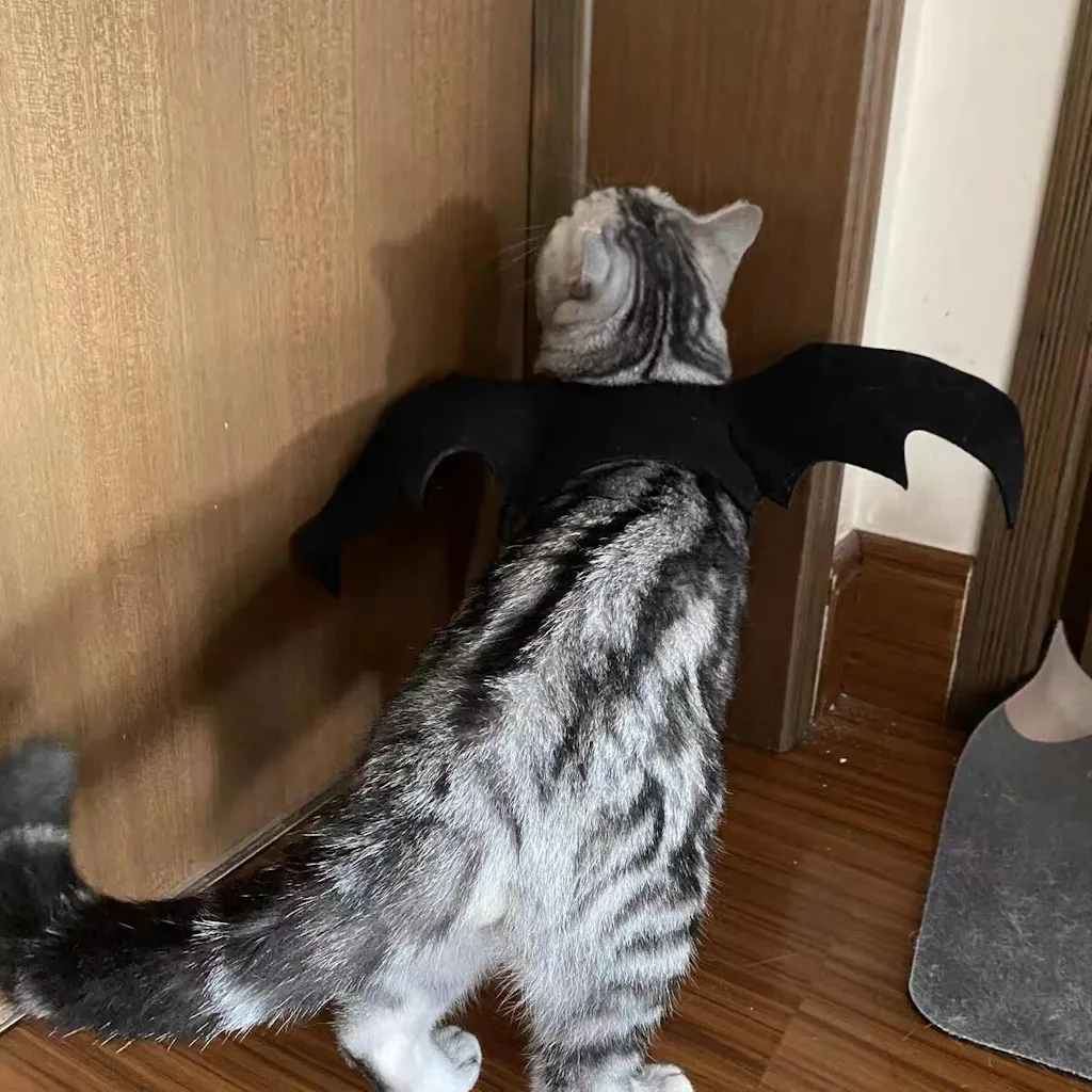 Cat Bat Wing Cosplay Halloween 3 Color Costume Props – MEWCATS