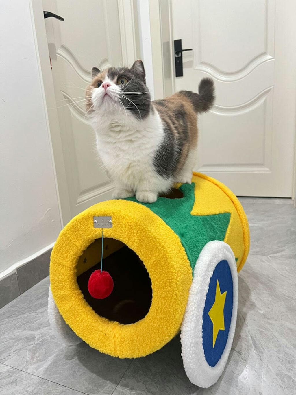 Circus Cute Cat Tower Scratching Toy – MEWCATS