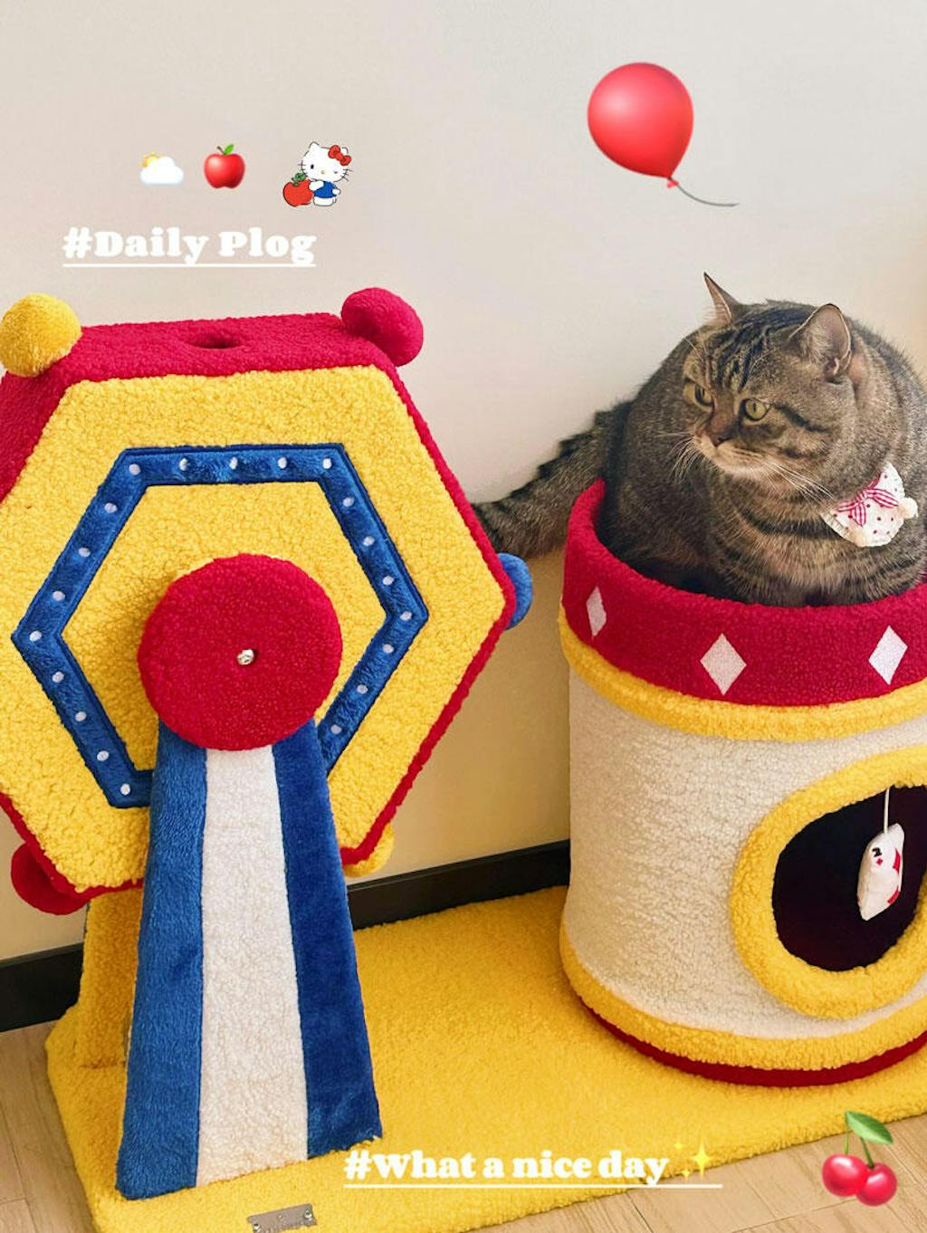 Circus Series Cat Scratching Toy – MEWCATS