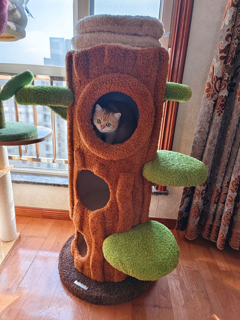 Luxury Cat Tree Looks Like Tree Climbing Frame – MEWCATS
