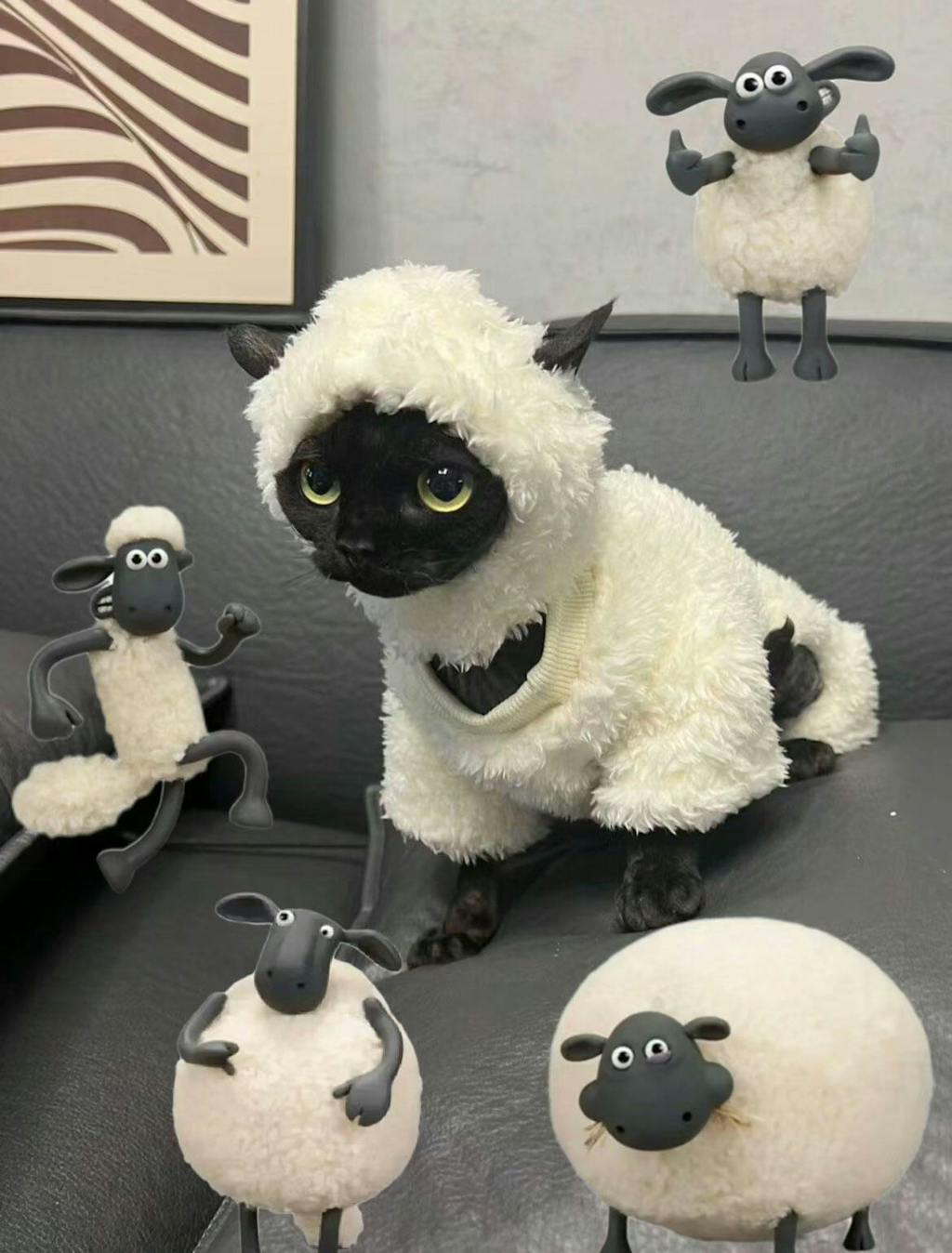 Sheep Funny Costume Hairless Cat Sphynx Clothes – MEWCATS