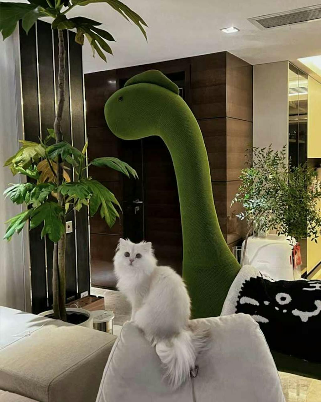 Dinosaur Large Cat Climbing Frame Seat Tree – MEWCATS