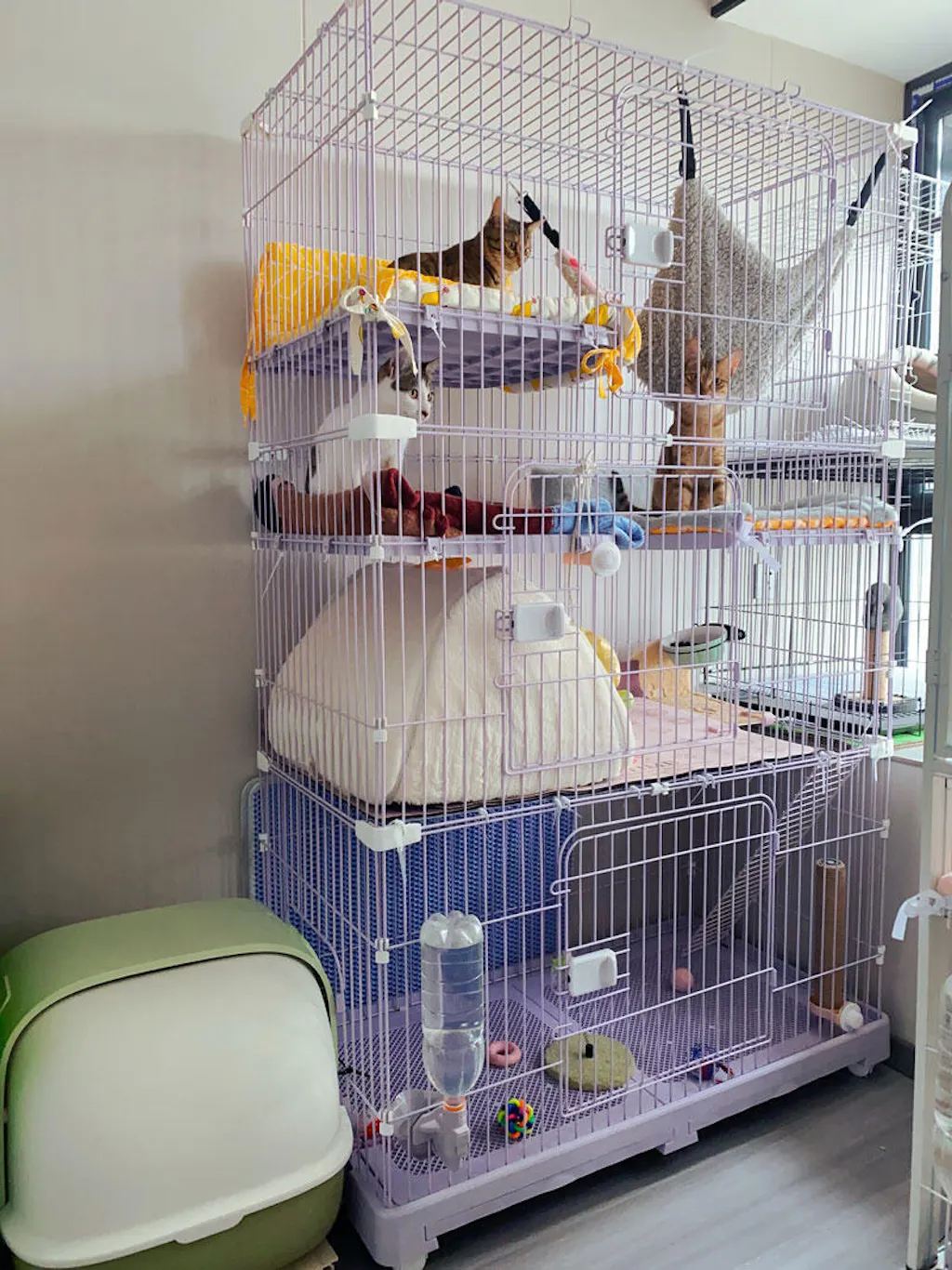 Elegant Purple Cat Cage Home Large House – MEWCATS
