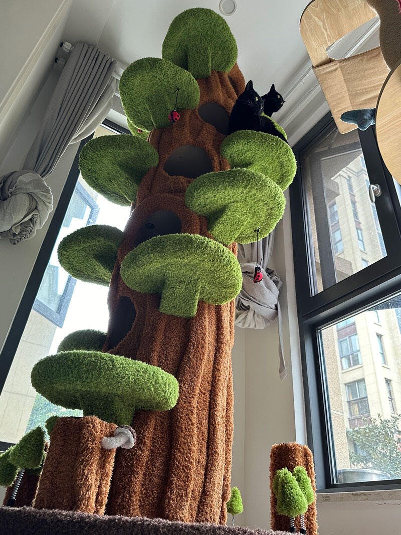 Luxury Cat Tree Looks Like Tree Tall Climbing Frame – MEWCATS
