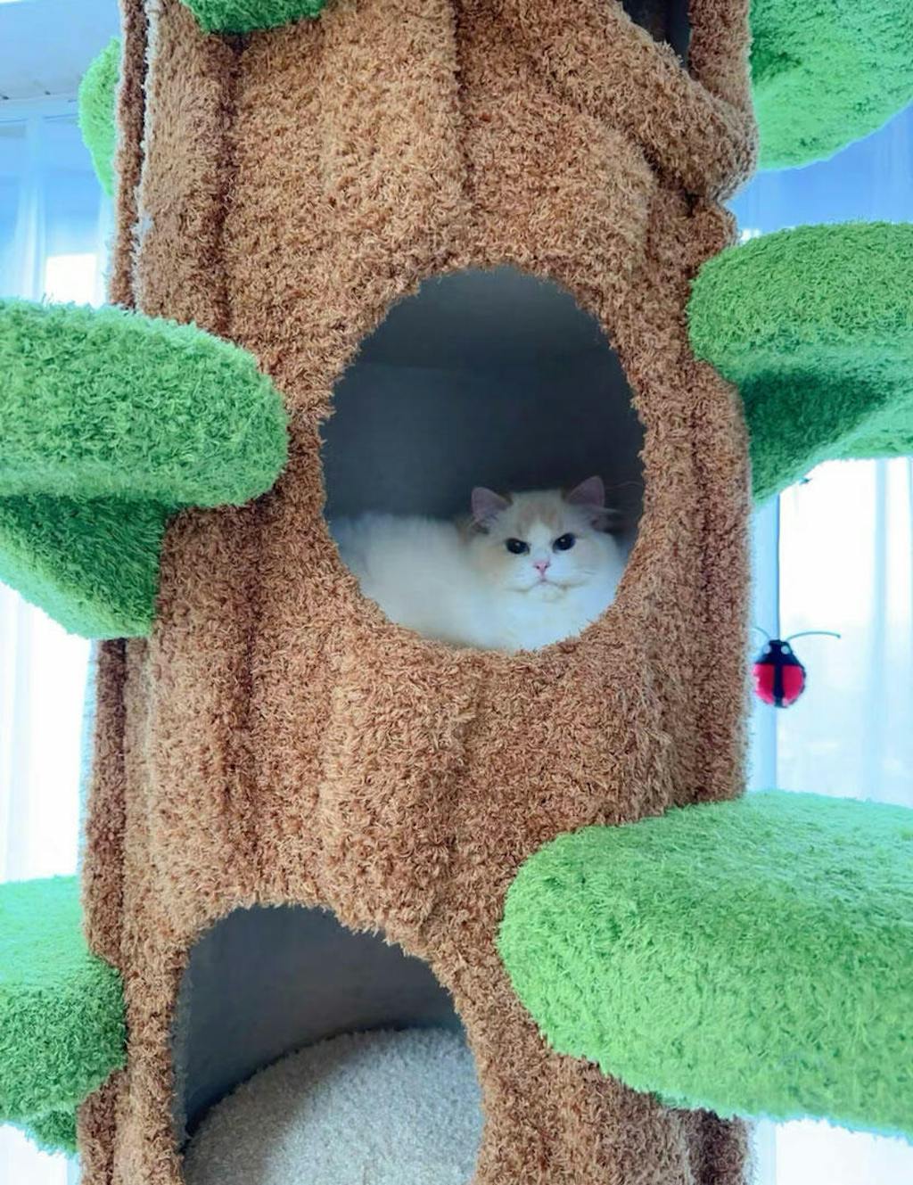 Luxury Cat Tree Looks Like Tree Tall Climbing Frame – MEWCATS