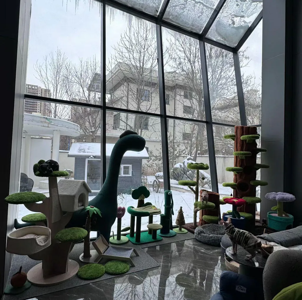 Dinosaur Large Cat Climbing Frame Seat Tree – MEWCATS