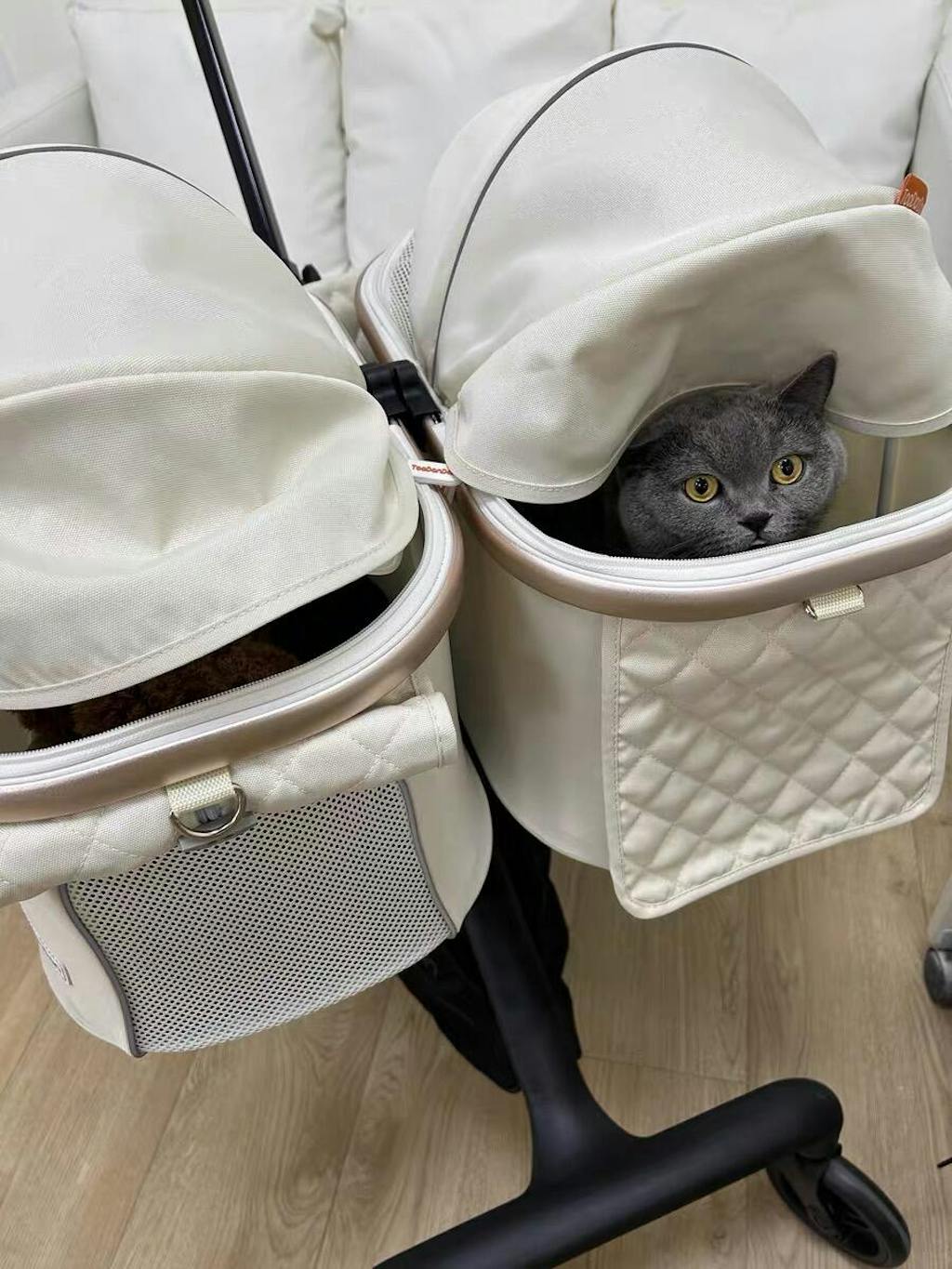 Twin Two-Seater Pet Stroller Cat Wheel Pram – MEWCATS