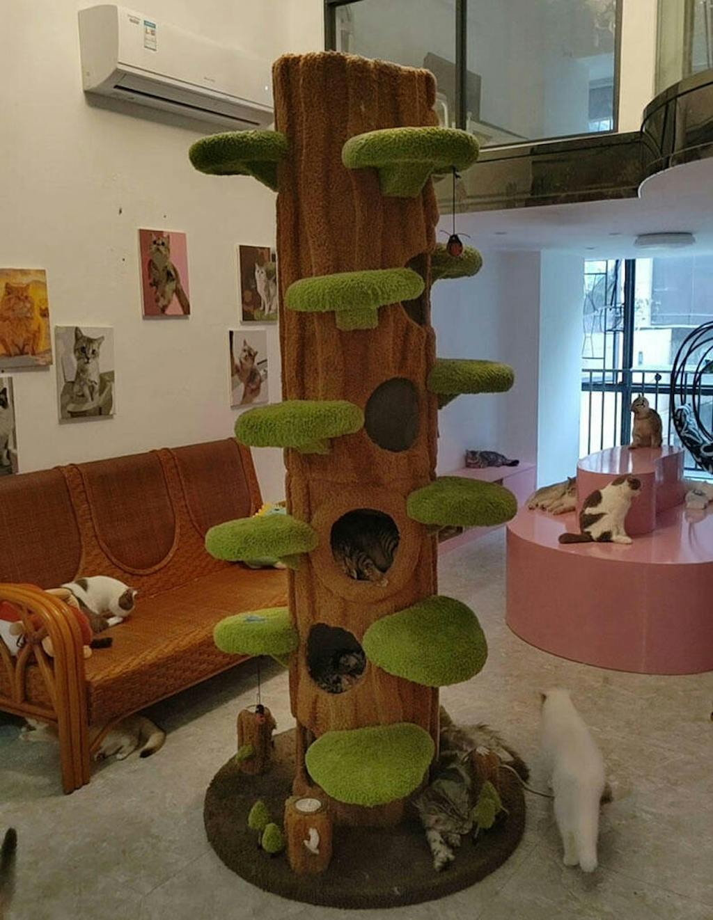 Luxury Cat Tree Looks Like Tree Tall Climbing Frame – MEWCATS