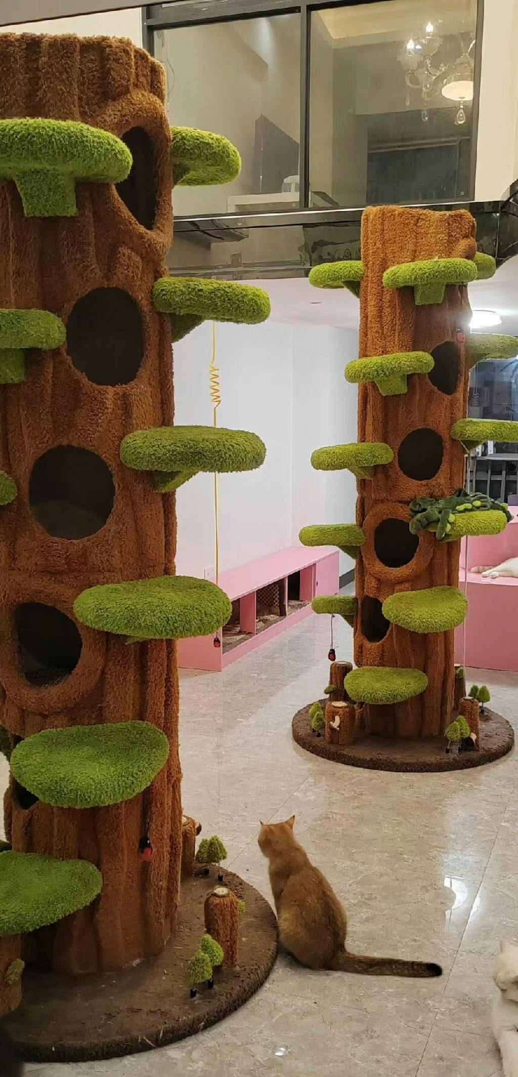 Luxury Cat Tree Looks Like Tree Tall Climbing Frame – MEWCATS