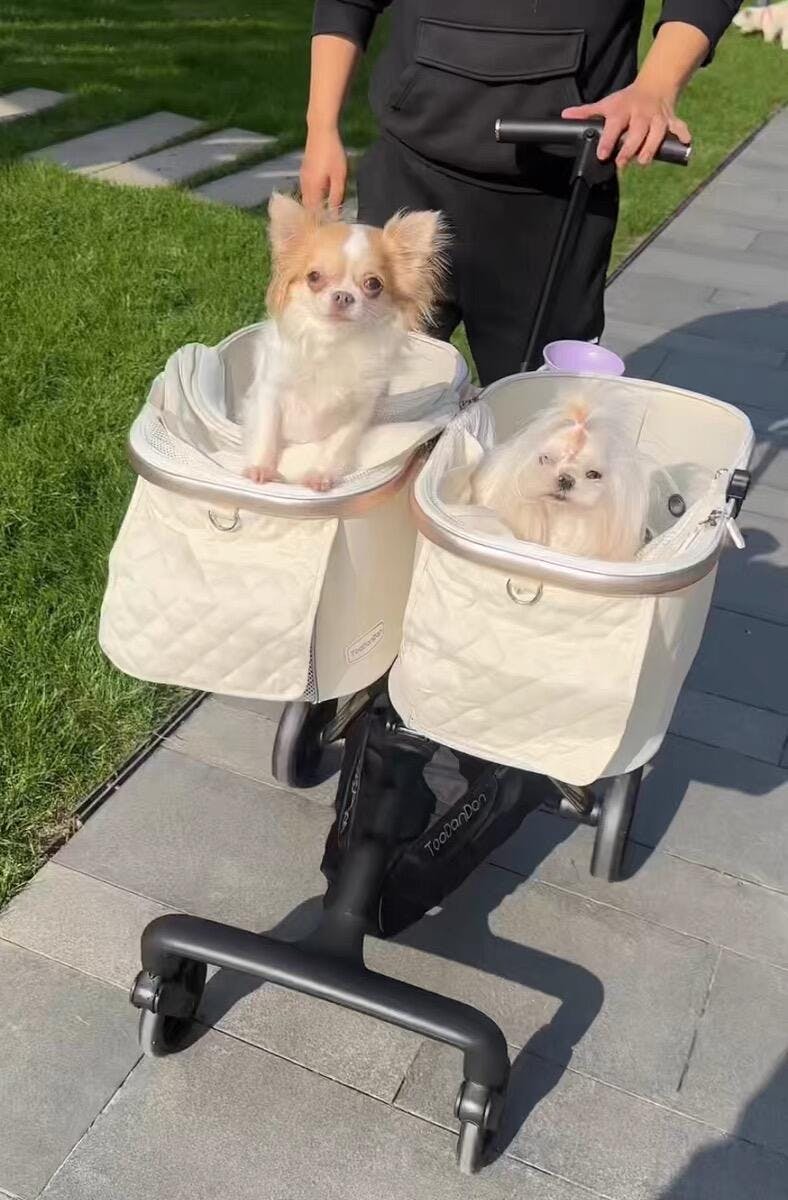 Twin Two-Seater Pet Stroller Cat Wheel Pram – MEWCATS