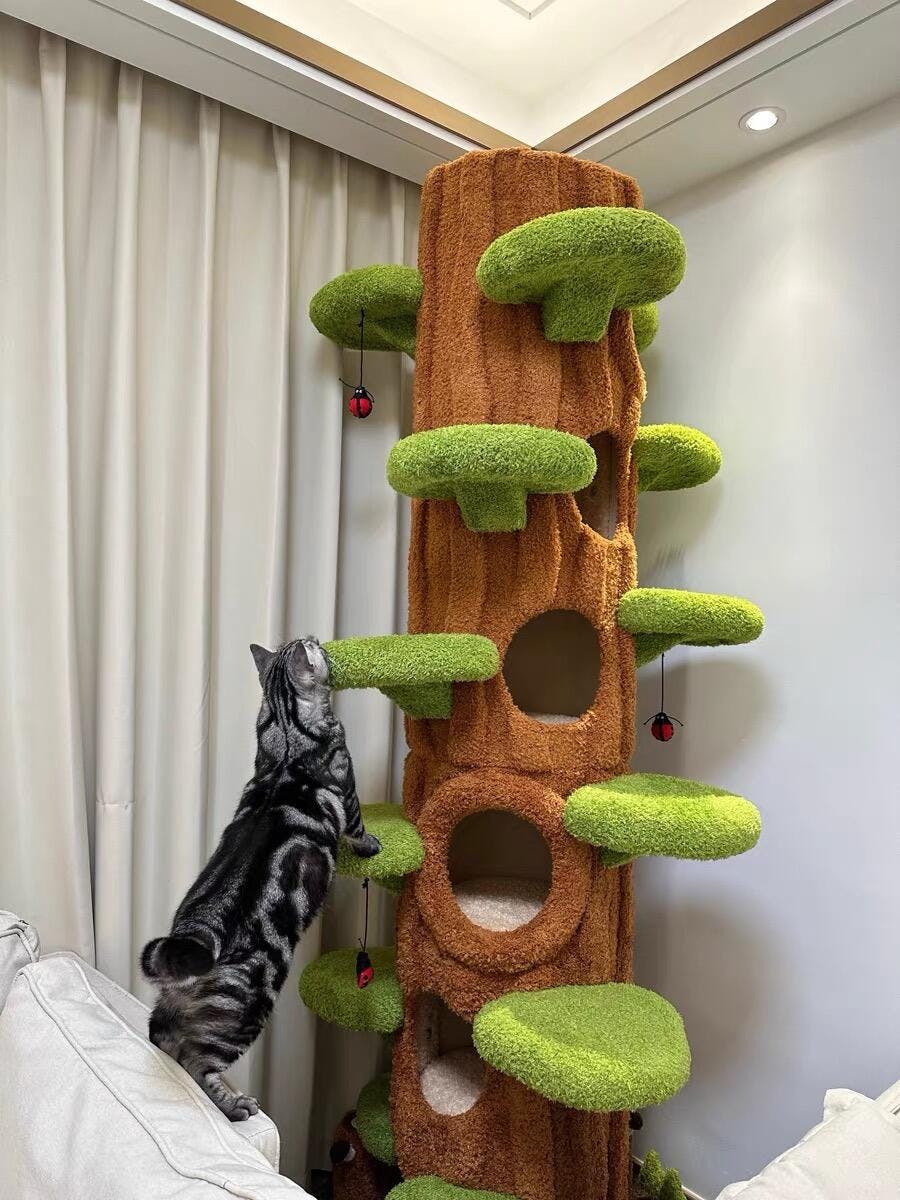 Luxury Cat Tree Looks Like Tree Tall Climbing Frame – MEWCATS