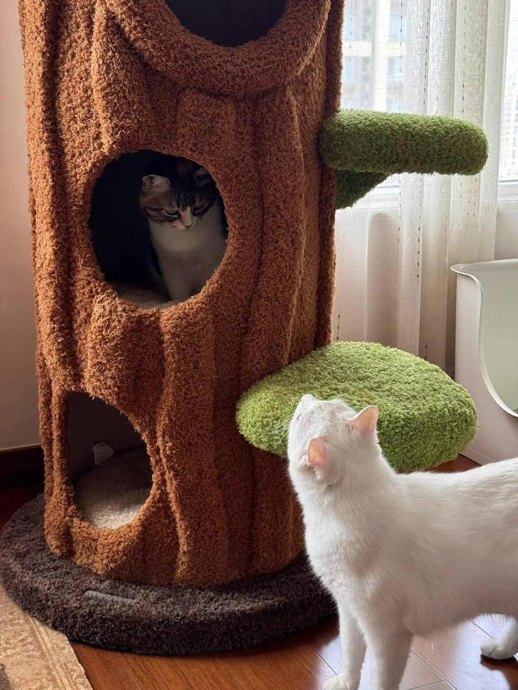 Luxury Cat Tree Looks Like Tree Tall Climbing Frame – MEWCATS