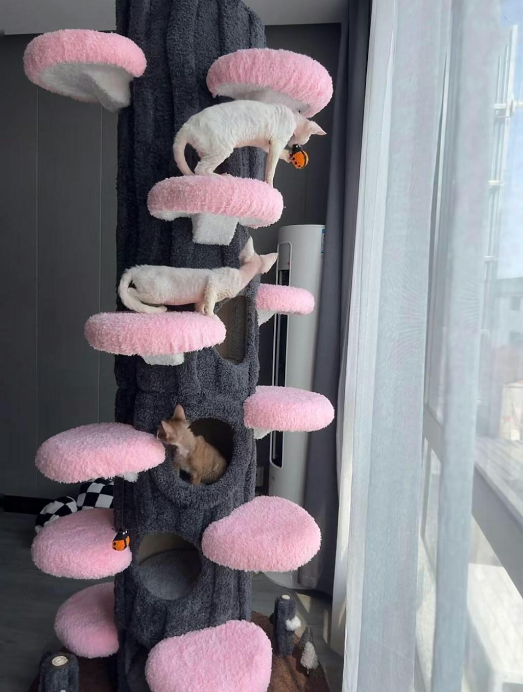 Luxury Cat Tree Looks Like Tree Tall Climbing Frame – MEWCATS