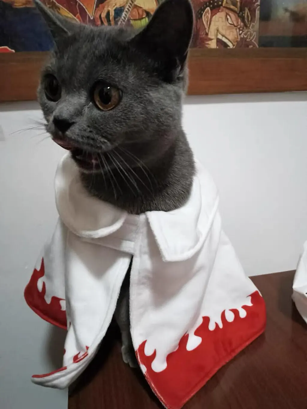 Naruto Anime Cat Cosplay Costume 5 Style Cape – MEWCATS