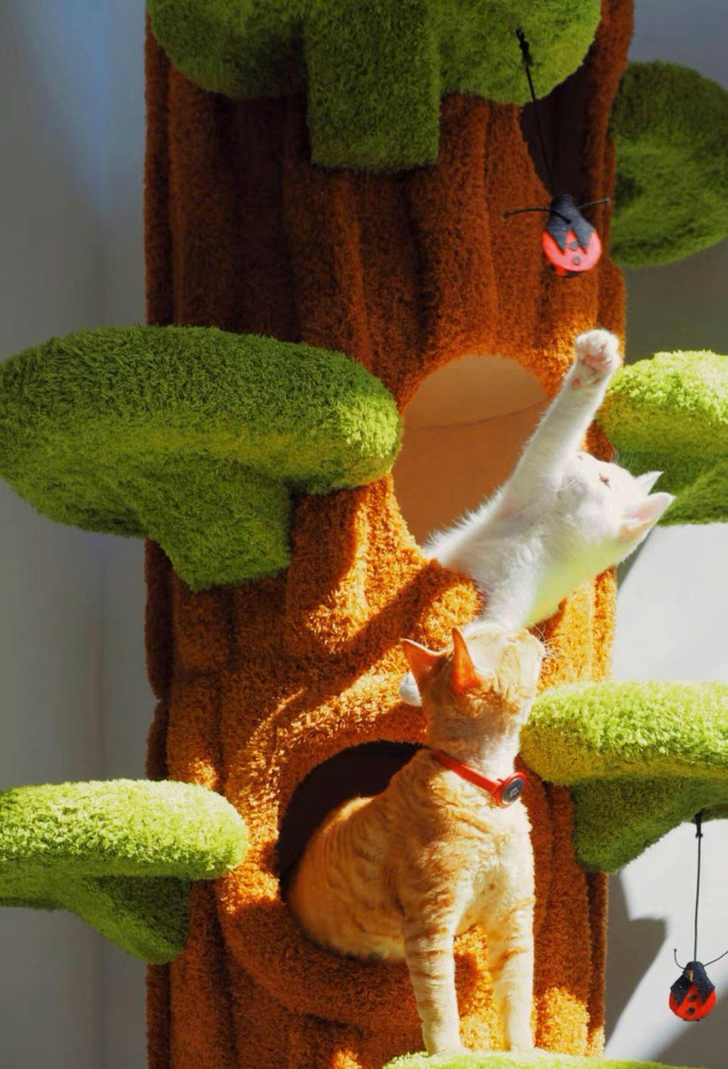 Luxury Cat Tree Looks Like Tree Tall Climbing Frame – MEWCATS