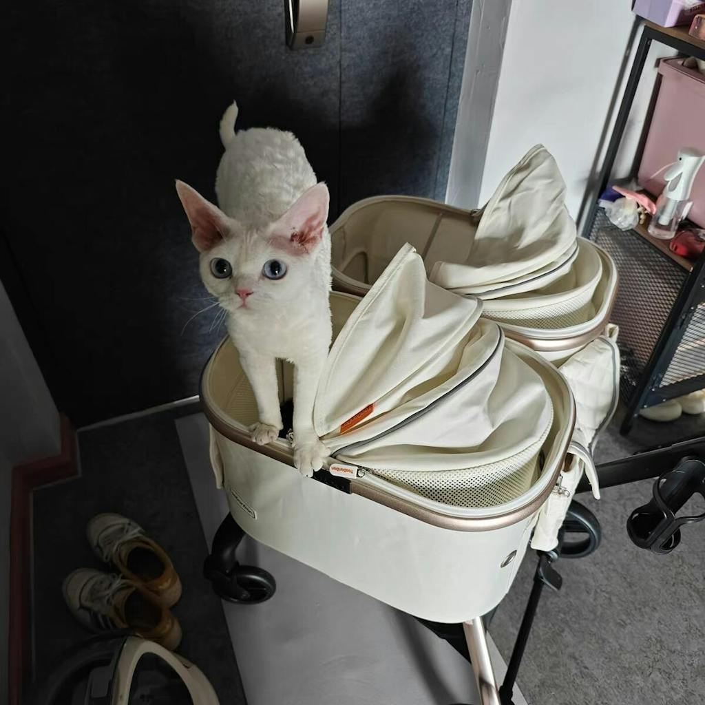 Twin Two-Seater Pet Stroller Cat Wheel Pram – MEWCATS