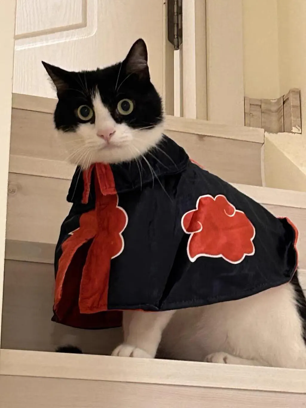 Naruto Anime Cat Cosplay Costume 5 Style Cape – MEWCATS