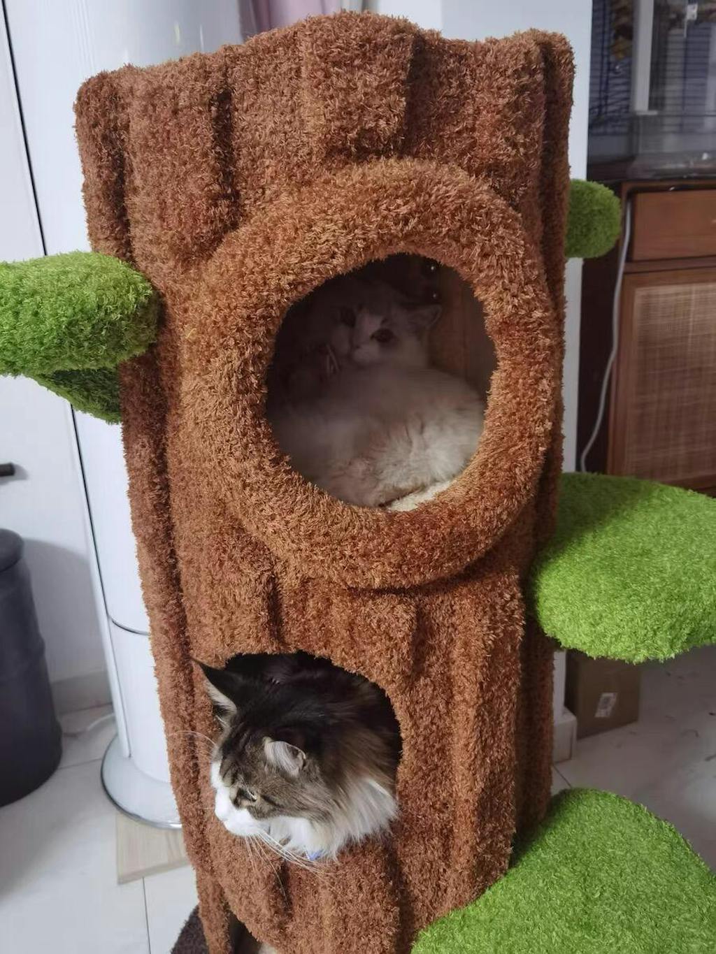 Luxury Cat Tree Looks Like Tree Tall Climbing Frame – MEWCATS