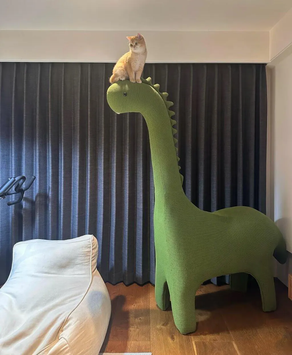 Dinosaur Large Cat Climbing Frame Seat Tree – MEWCATS