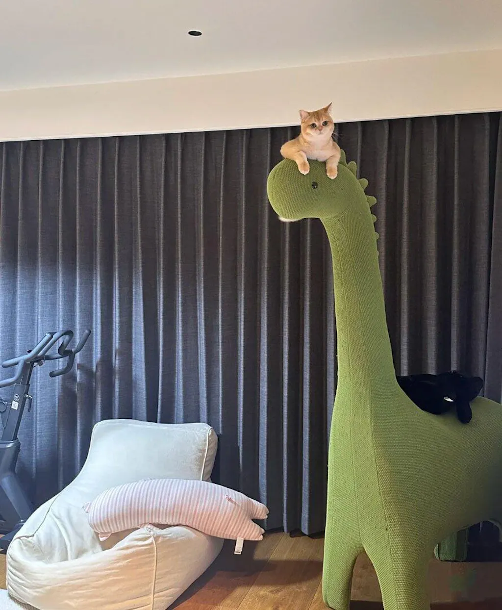 Dinosaur Large Cat Climbing Frame Seat Tree – MEWCATS