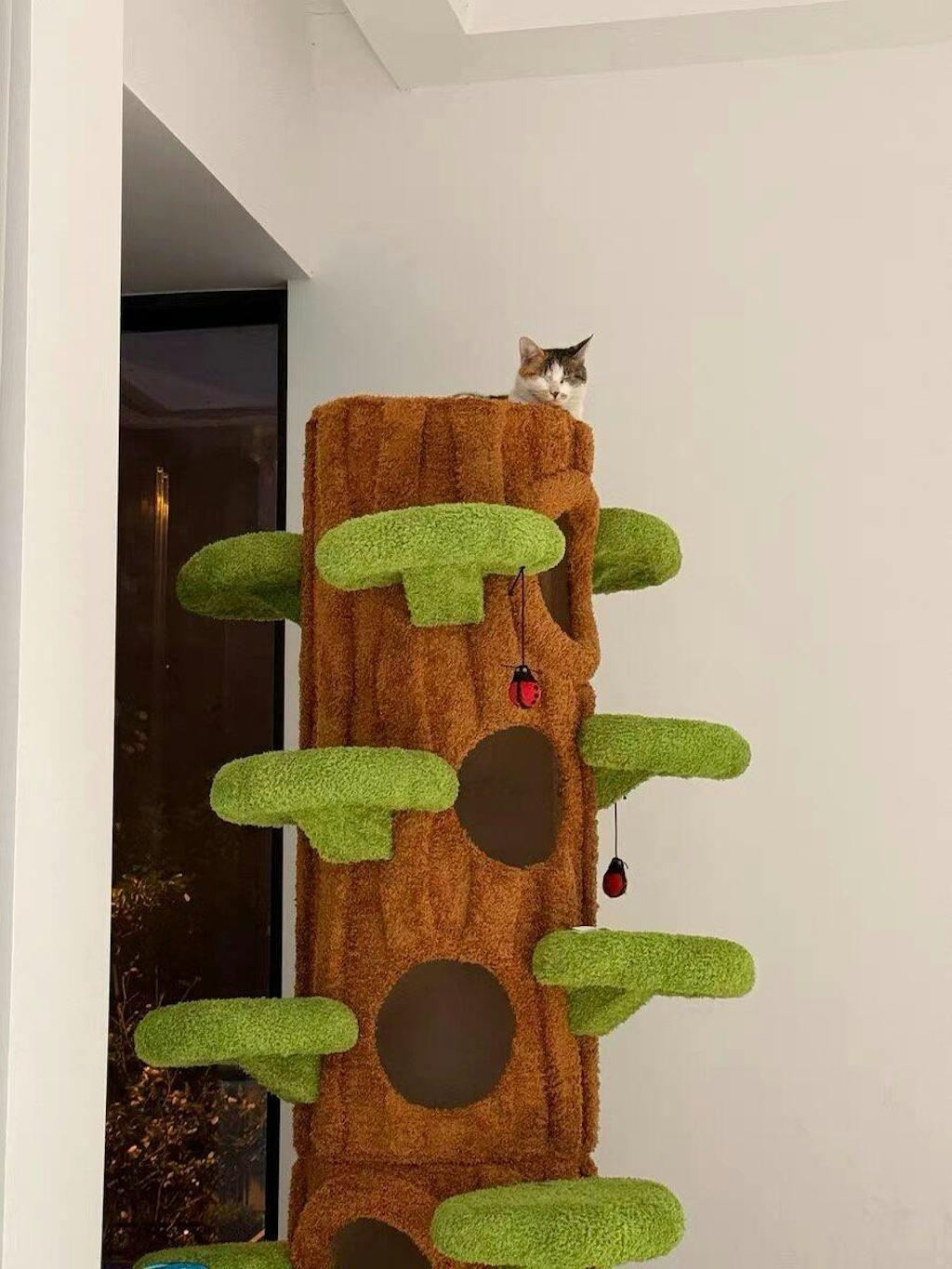 Luxury Cat Tree Looks Like Tree Tall Climbing Frame – MEWCATS