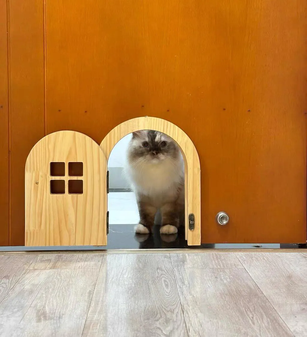 Customized Solid Wood Cat Door with Window – MEWCATS