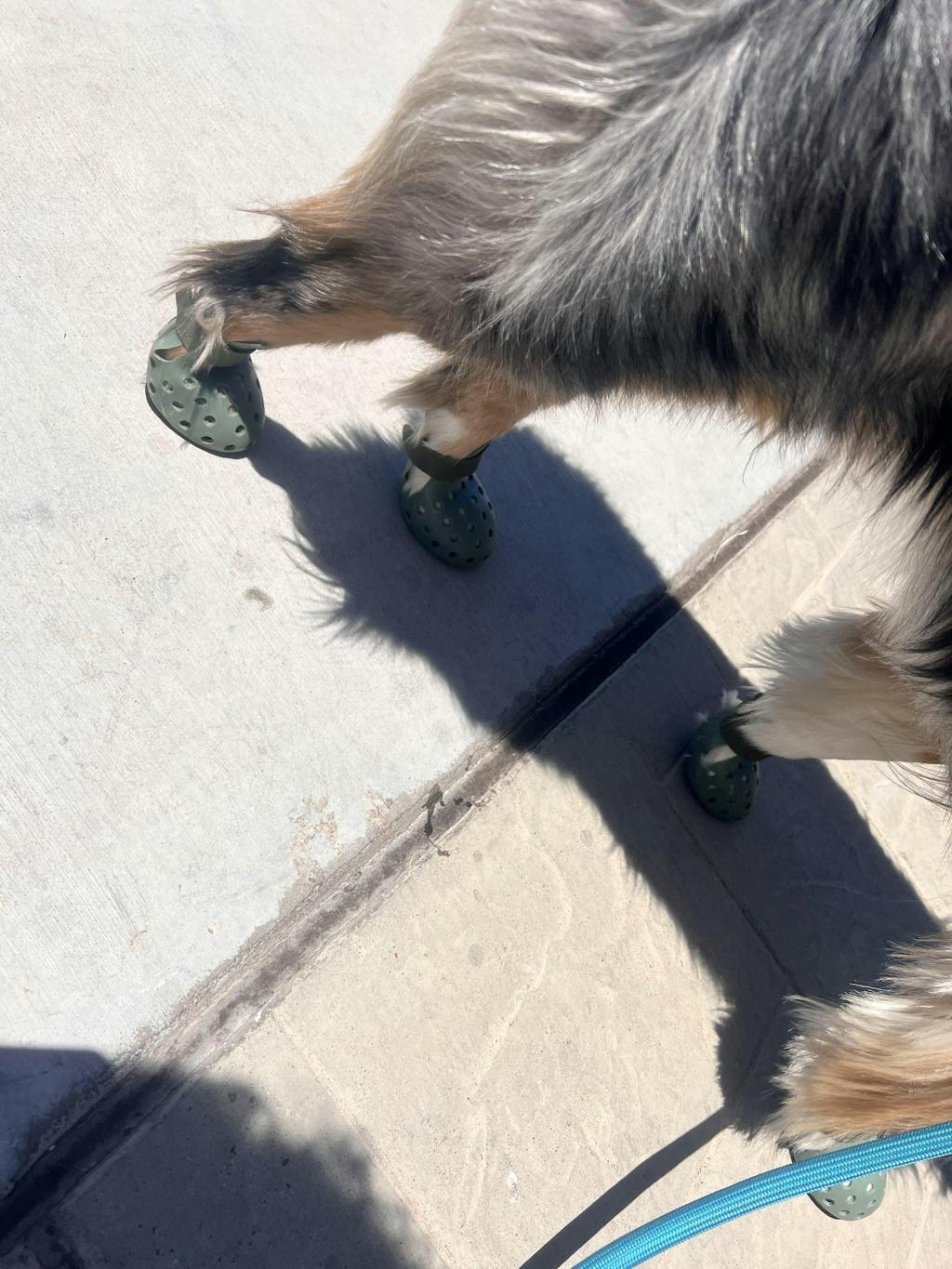 Mojave Hot Weather Dog Booties