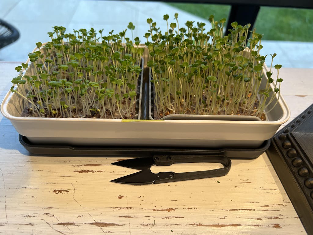 STARTER KIT – micropod