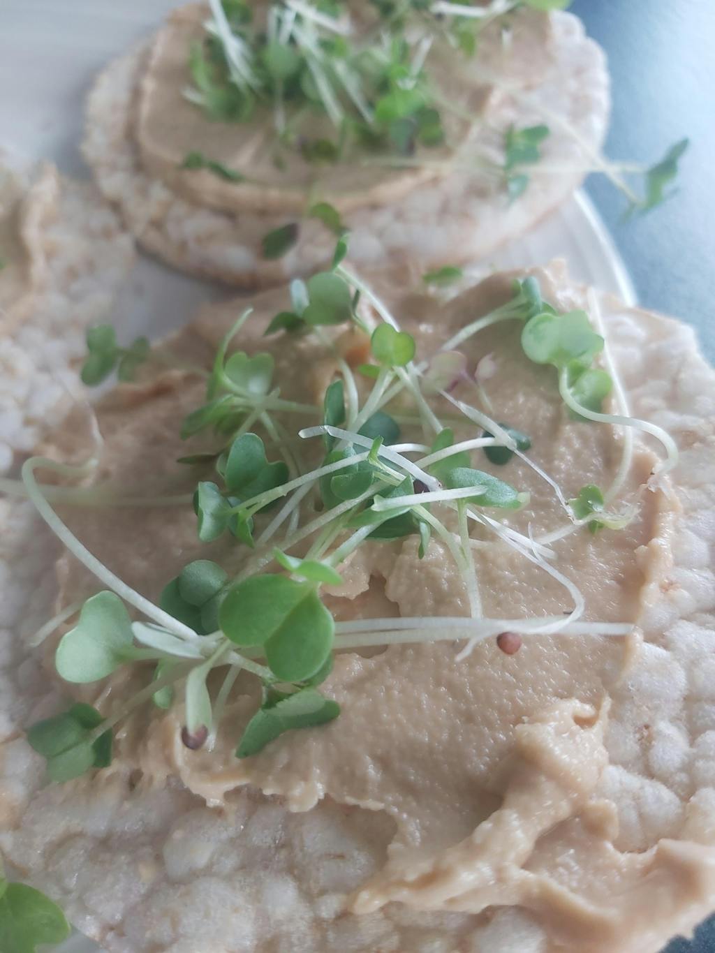 Seed Mats – micropod