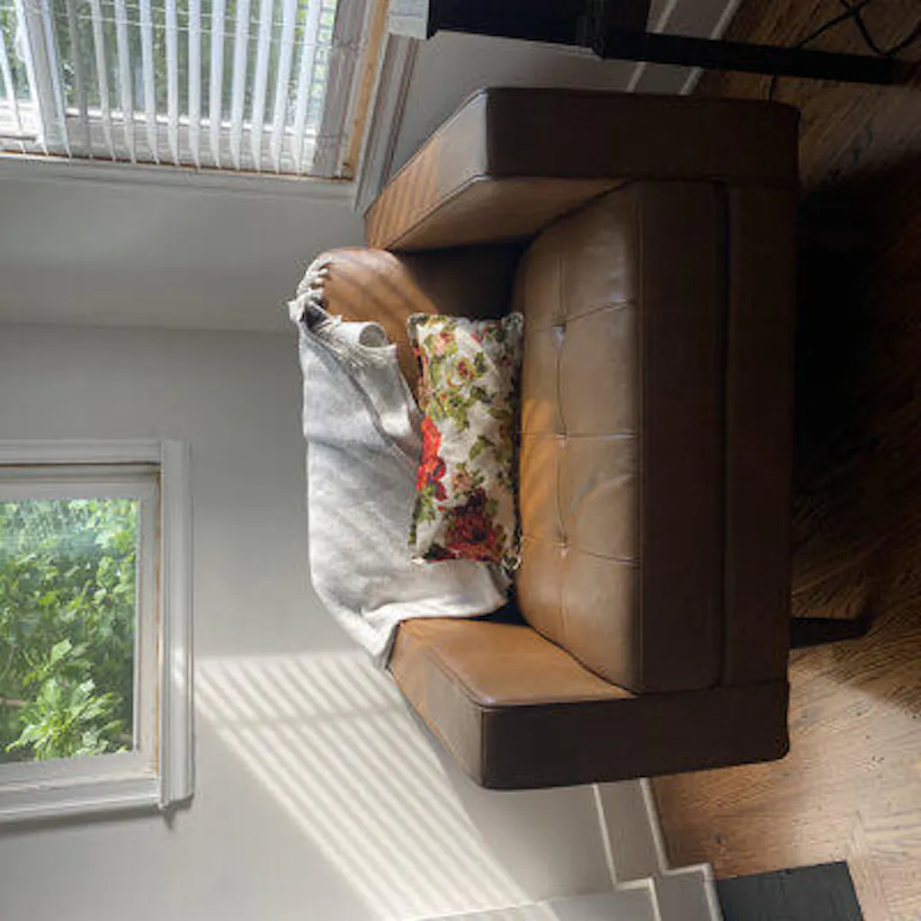 Tessa Tan Leather Lounge Chair | MidinMod | Houston TX