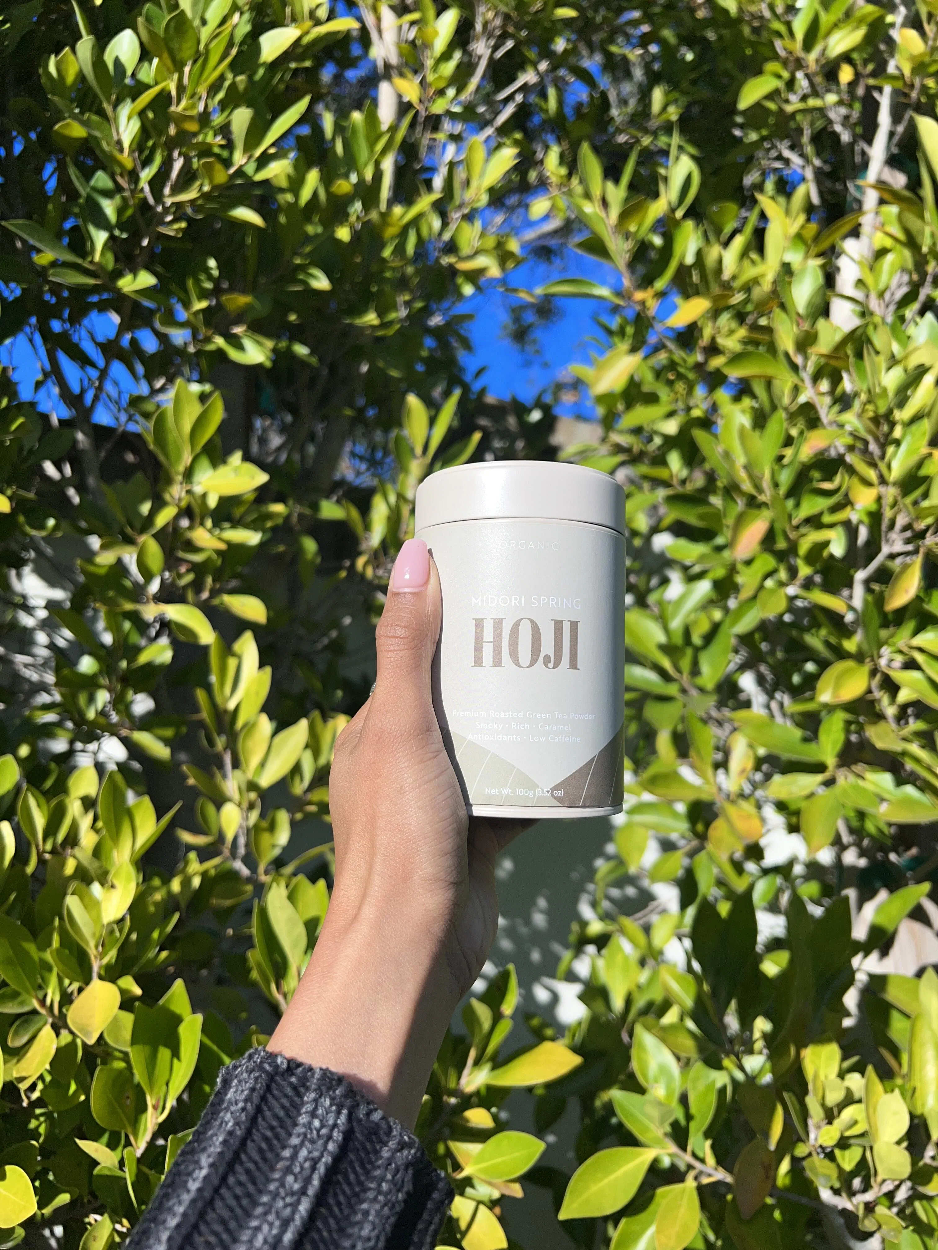 HOJI- Premium Roasted Green Tea Powder – Midori Spring