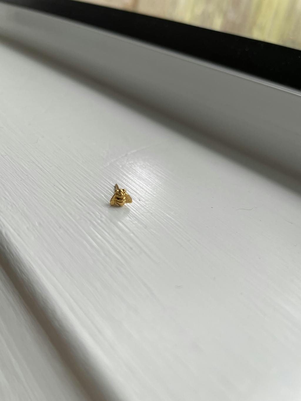 Tiny Bee Studs Gold – Midsummer Star