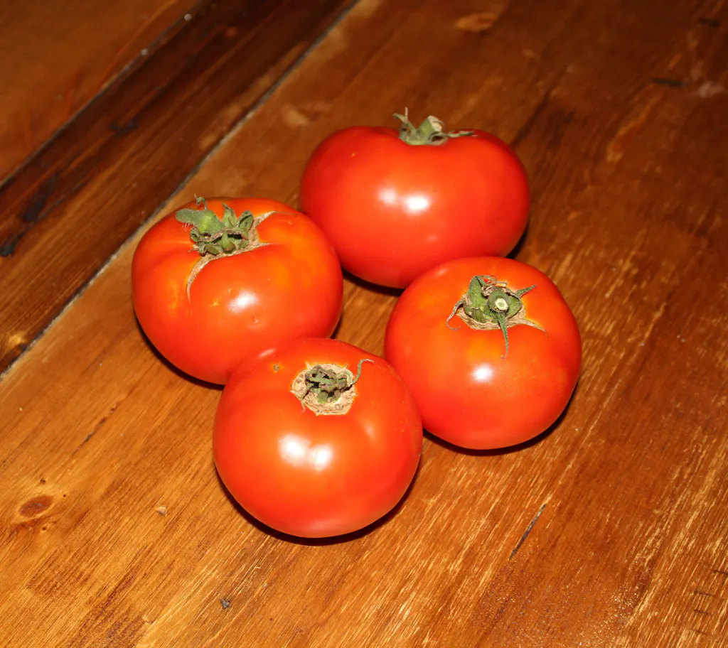 Fireworks Tomato – MIgardener