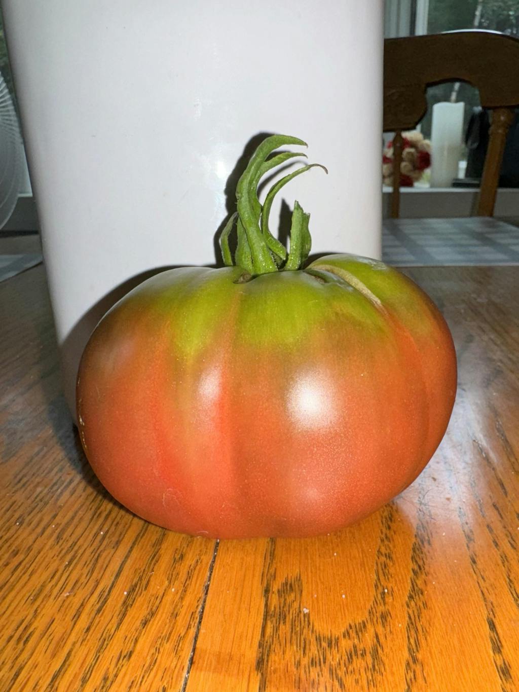 Black Sea Man Tomato – MIgardener