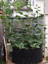 Trifecta+ – MIgardener