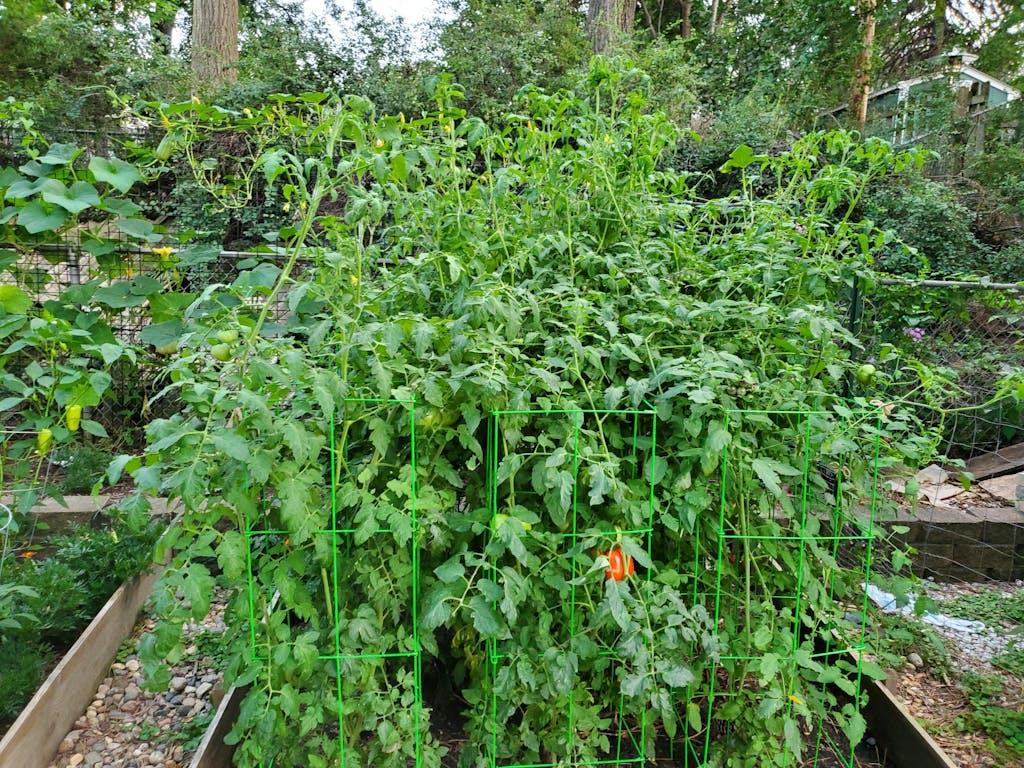 Trifecta+ – MIgardener