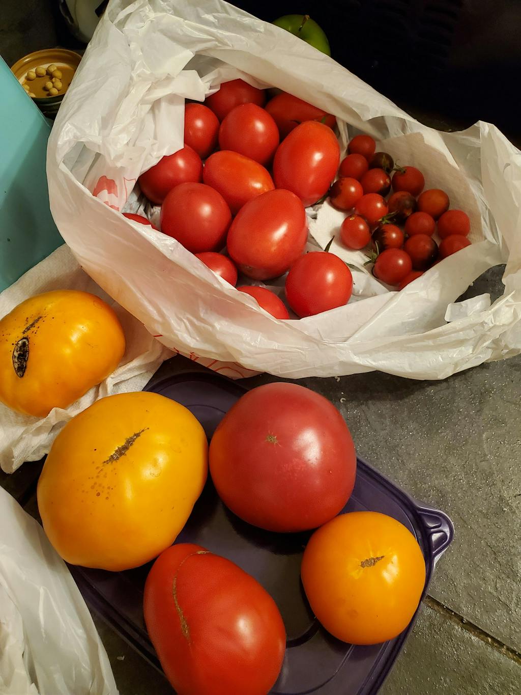 Trifecta+ – MIgardener