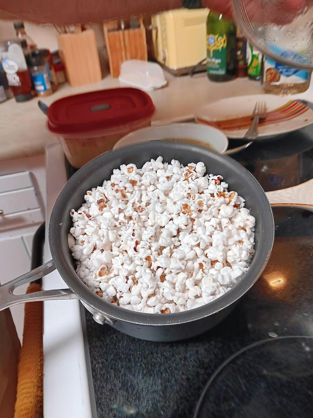 Miniature Blue Popcorn – MIgardener