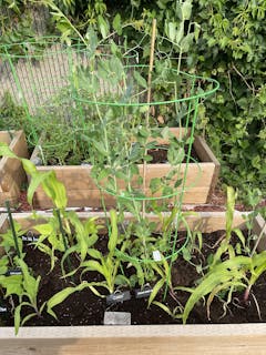 MIgardener – MIgardener