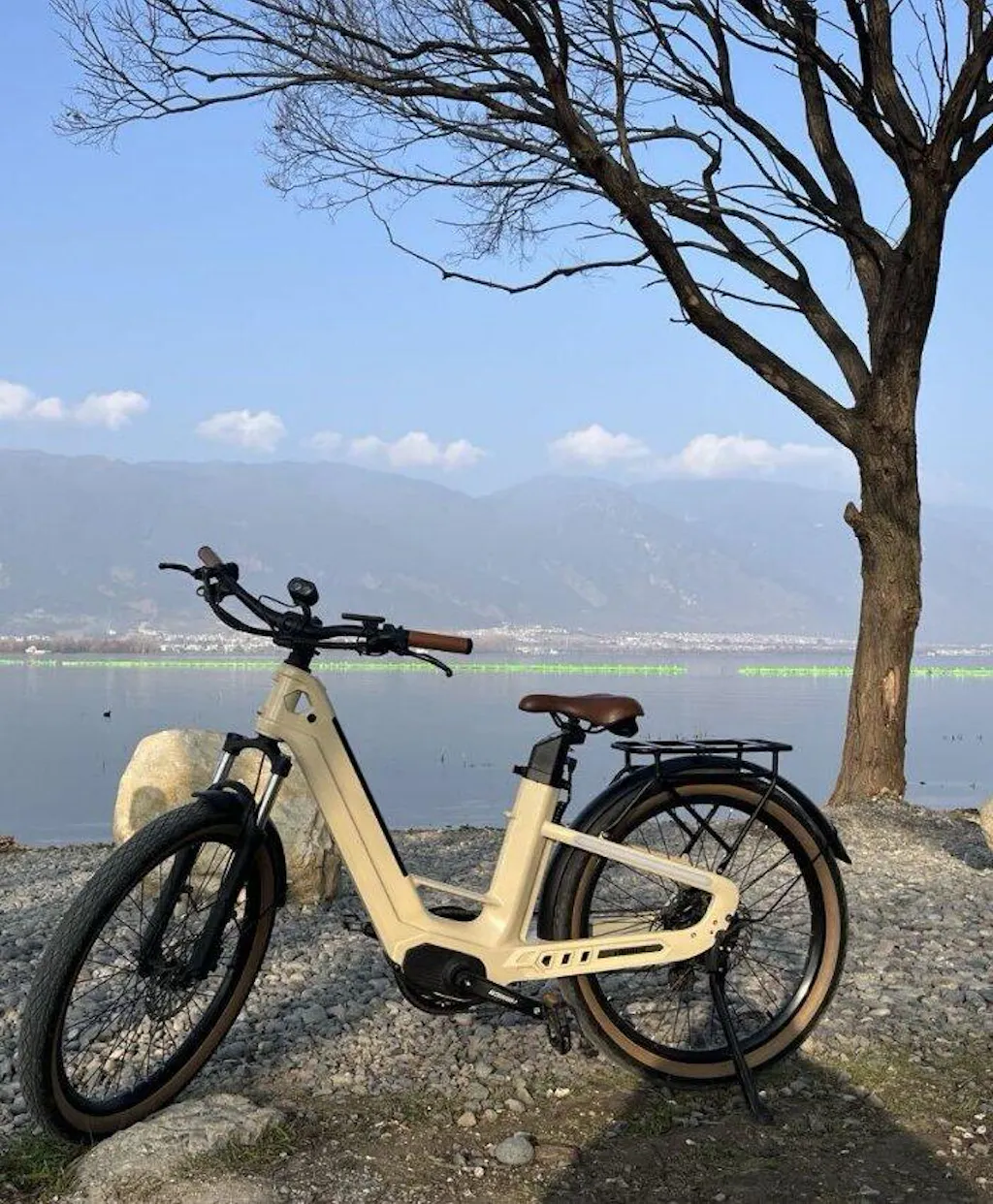Mihogo Air Max - Long Range Carbon Fiber E-Bike