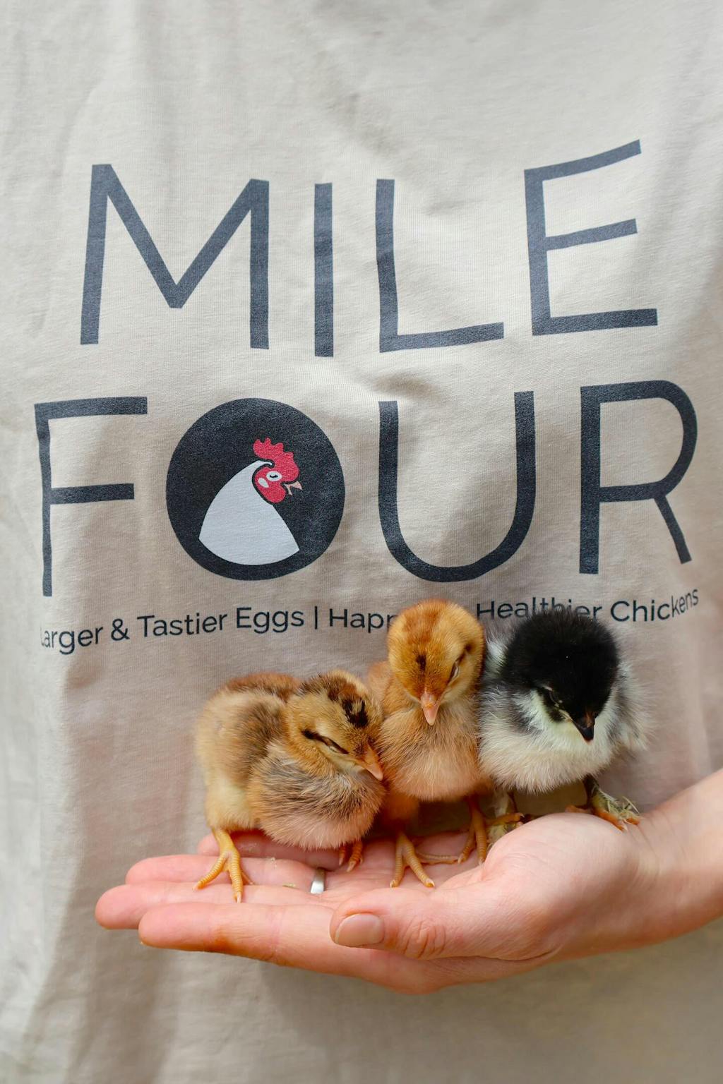 Starter & Chick Chicken Kit | 2 Month Supply of Feed & Grit | Non-GMO ...