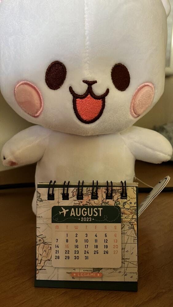 Mocha Plush – Milkmochabear