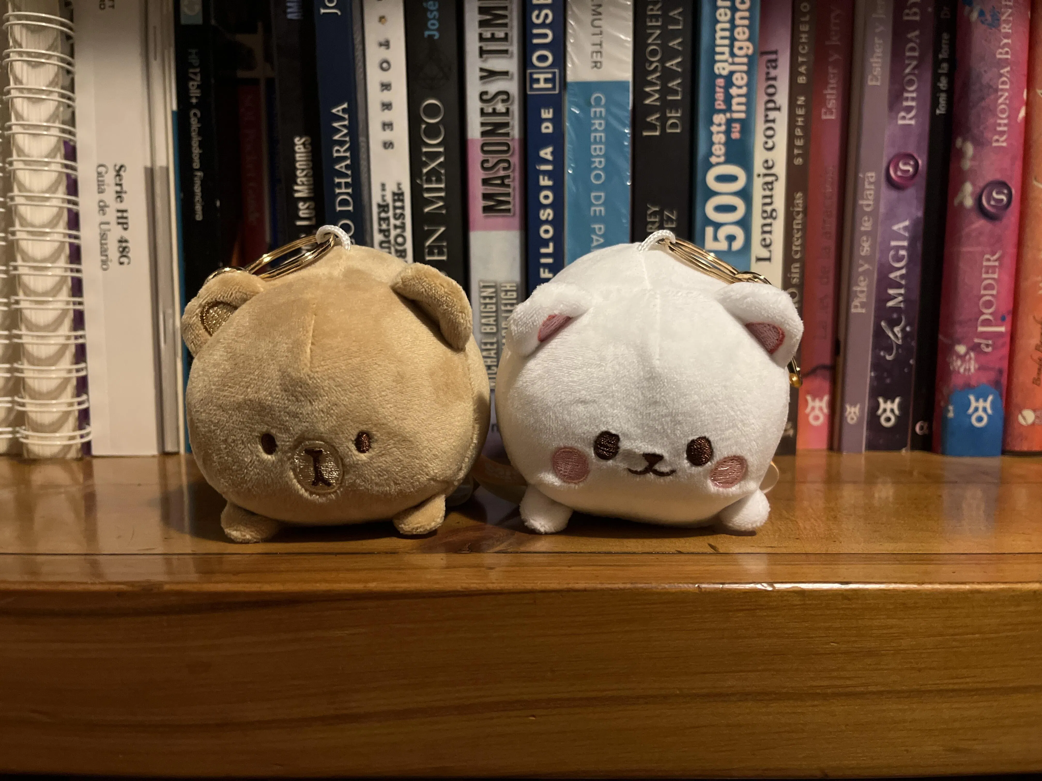 Chonky Plush Keychain Set – Milkmochabear