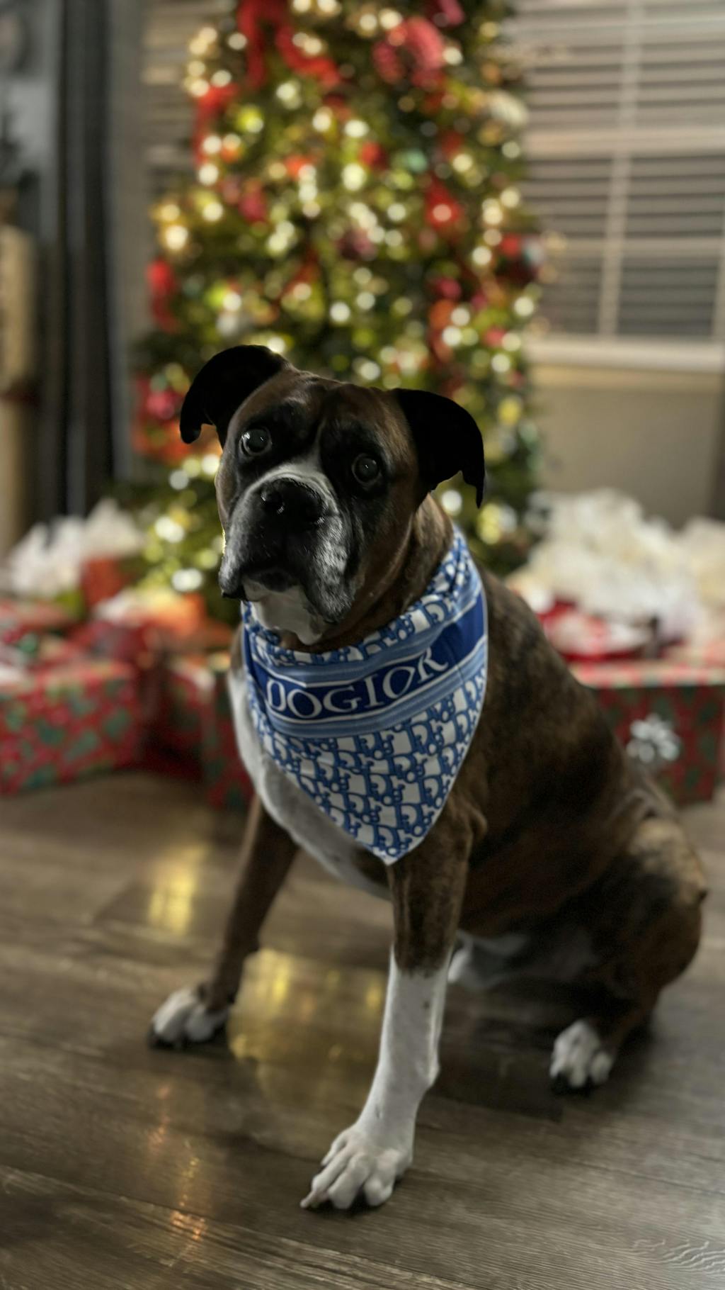 Size Chart – Millionaire Mutt