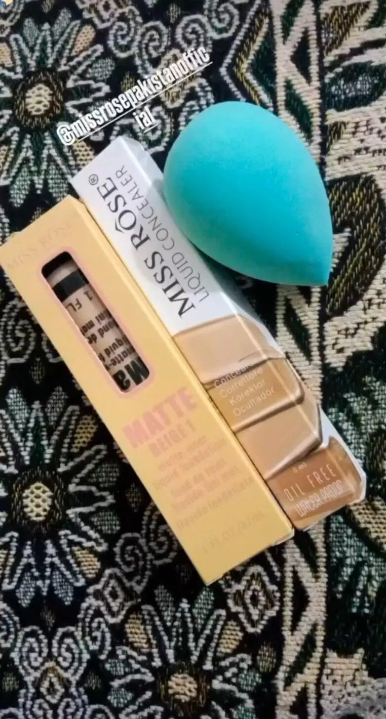 Beauty Blender -Oval Shape – MISSROSE.PK